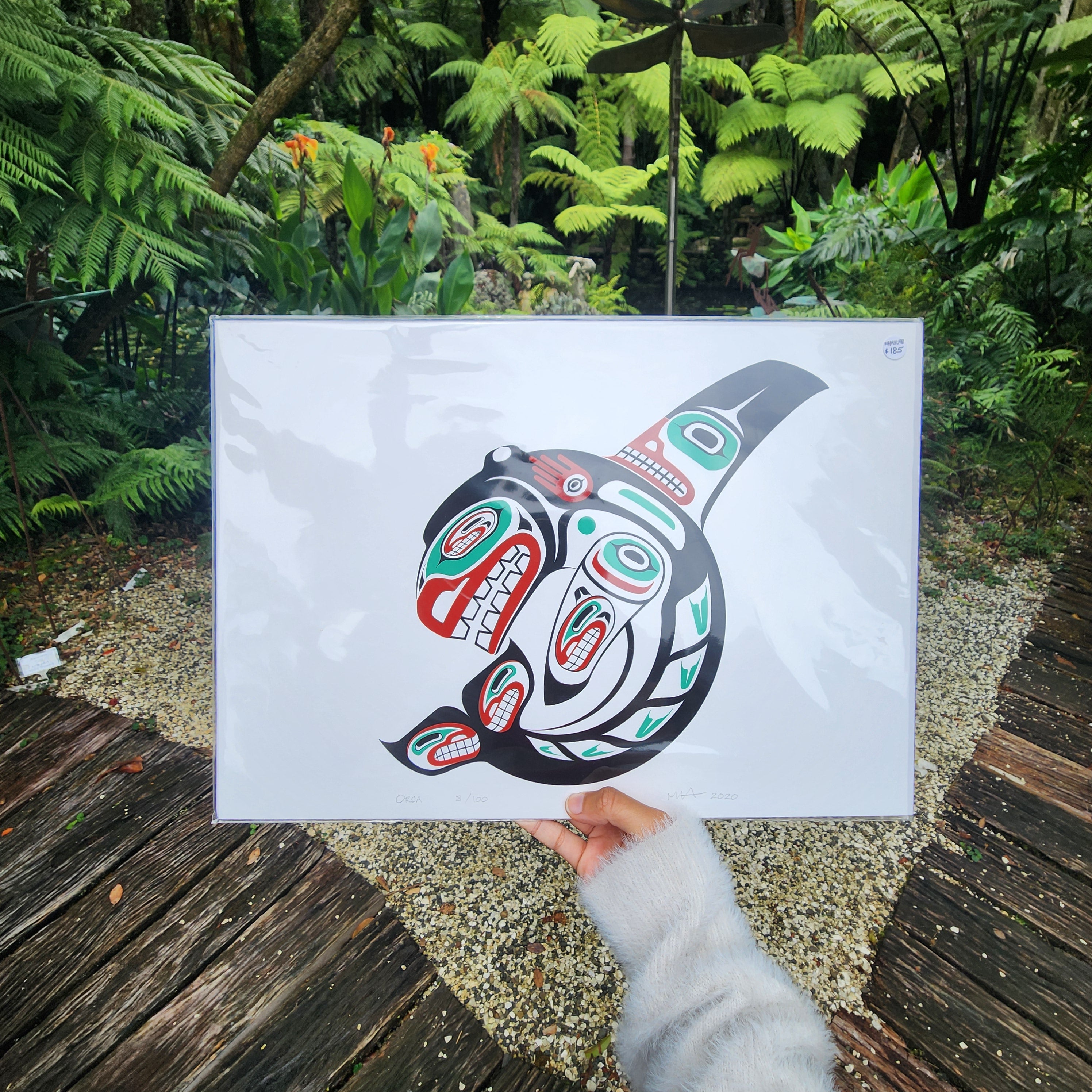 Orca - Paper Print – Gallery Helena Bay