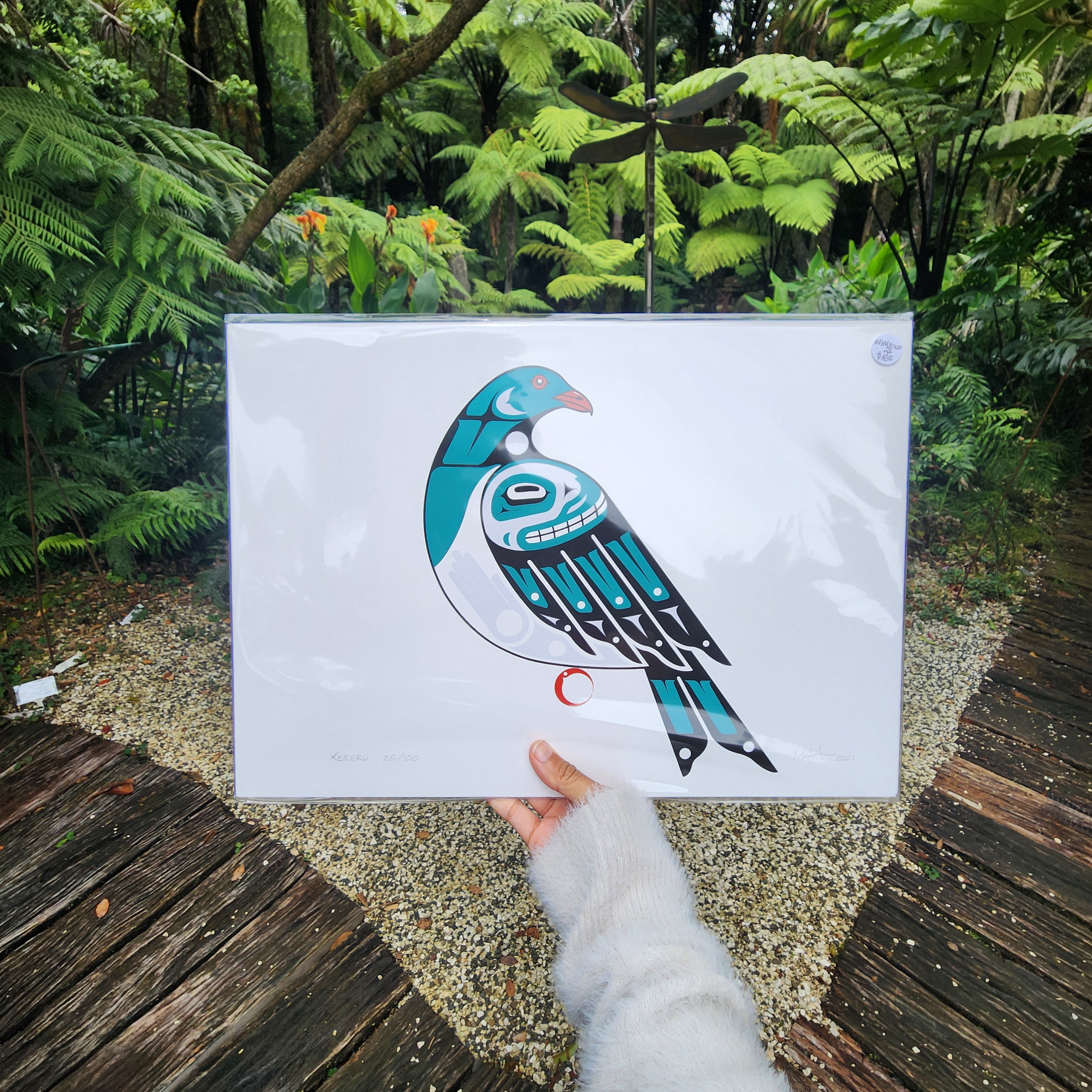 Kereru - Paper Print – Gallery Helena Bay