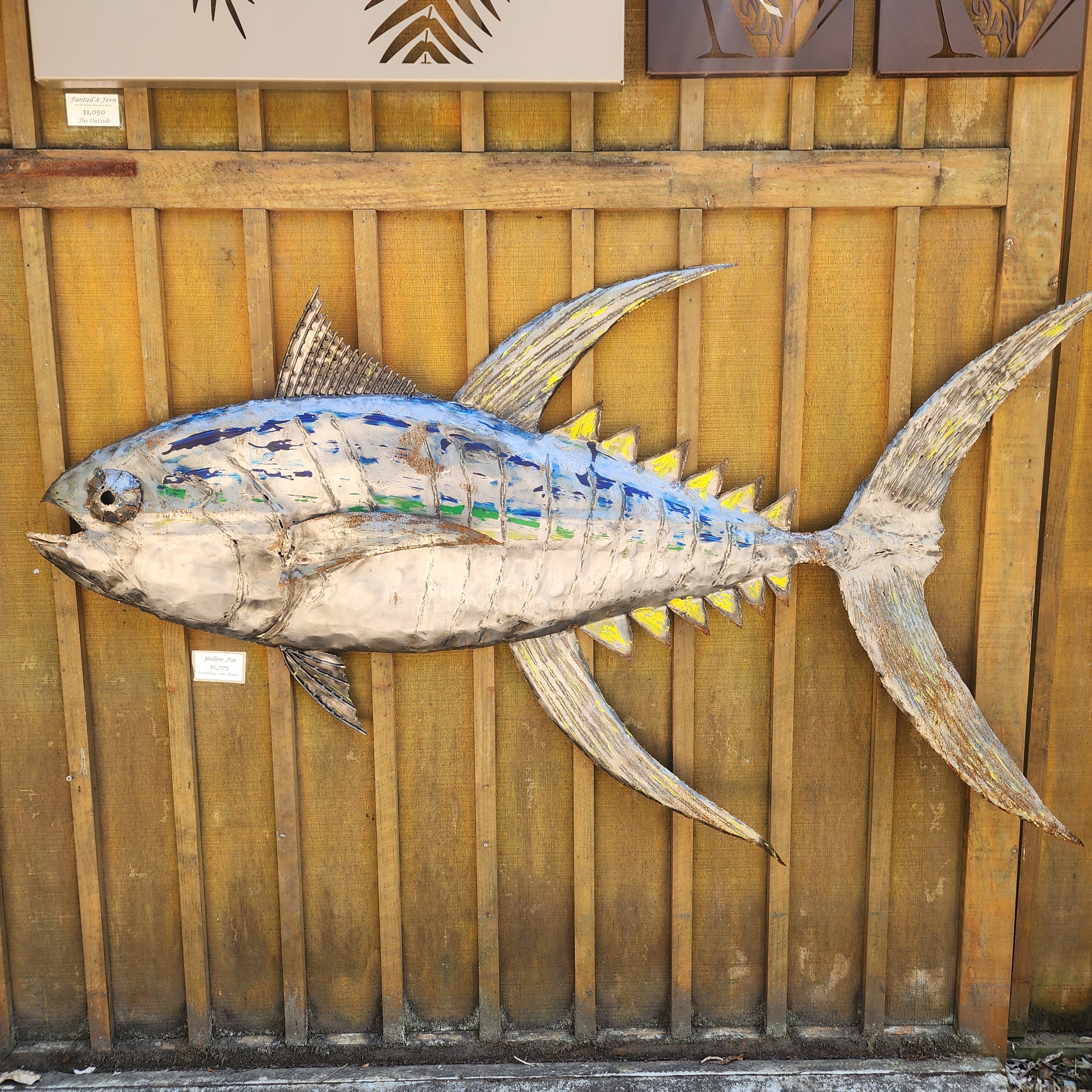 Yellow Fin – Gallery Helena Bay